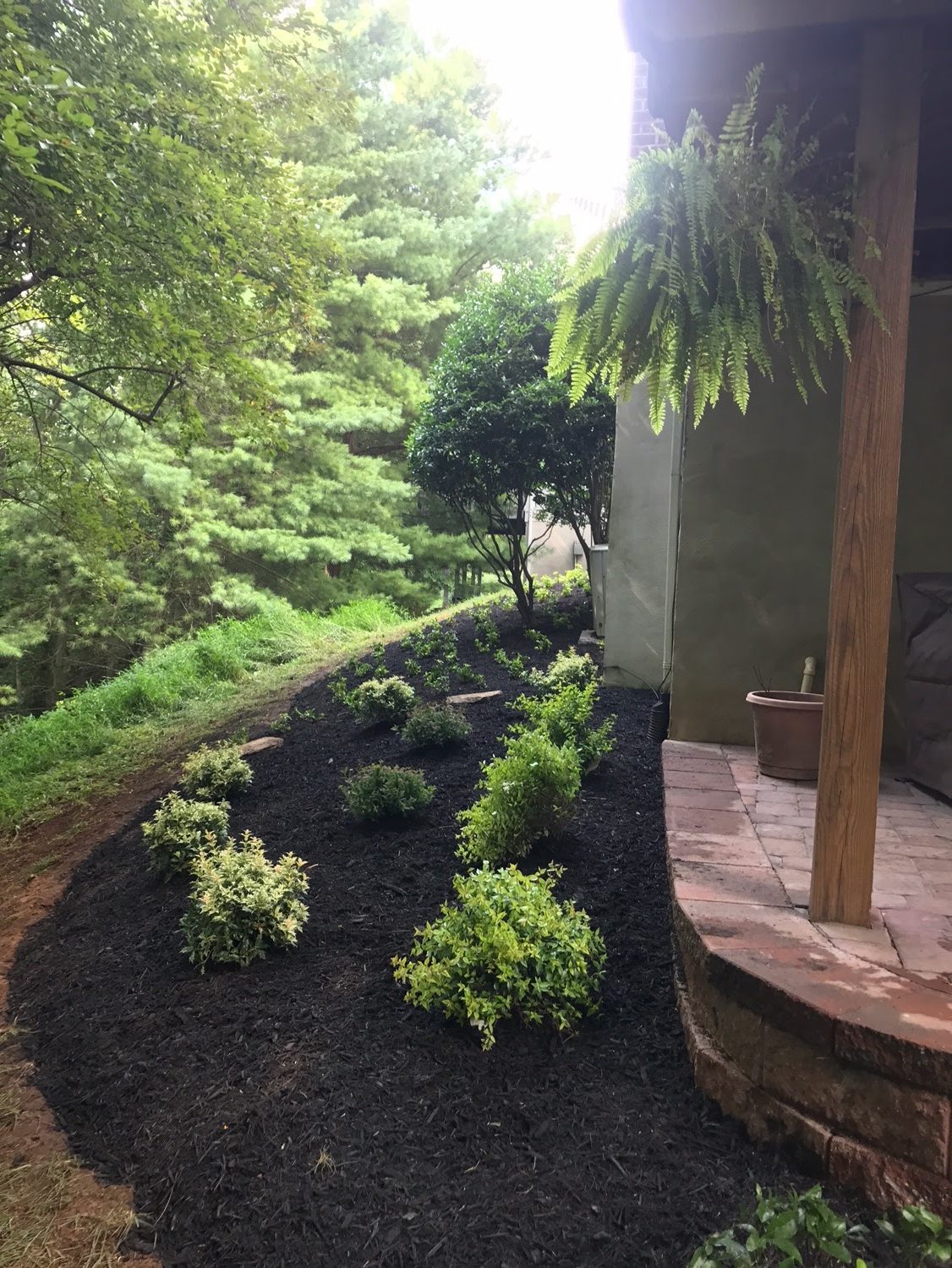 Gallery - Vin's Total Care Landscaping
